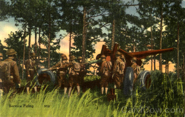 Service Firing Army