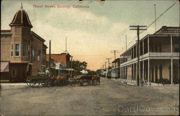 Hazel Street Gridley, CA Postcard