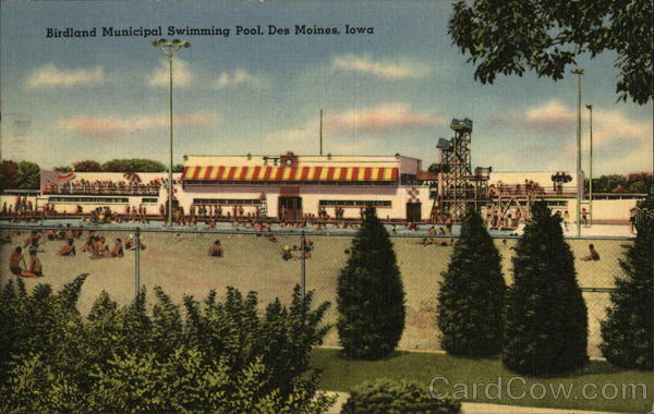 Birdland Municipal Swimming Pool Des Moines, IA Postcard