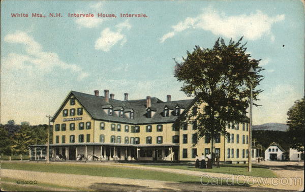 Intervale House New Hampshire Postcard