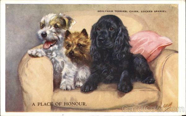 A Place of Honor - Sealyham Terrier, Cairn, Cocker Spaniel Dogs