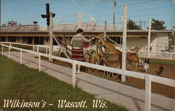 Wilkinson's Wascott, WI Postcard