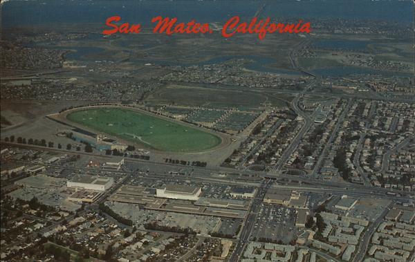 Aerial view of City San Mateo, CA Postcard