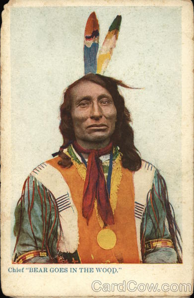 Chief Bear Goes in the Woods Native Americana Postcard