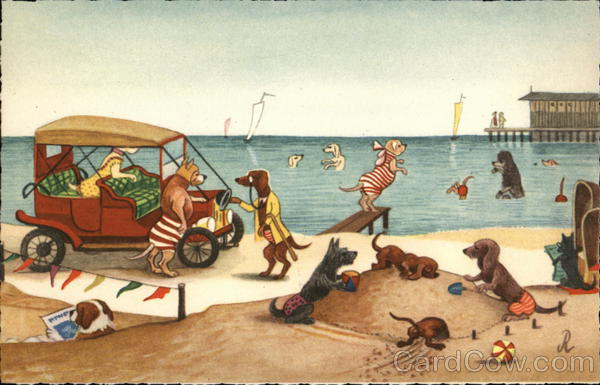 Dog Illustration at Beach Dogs