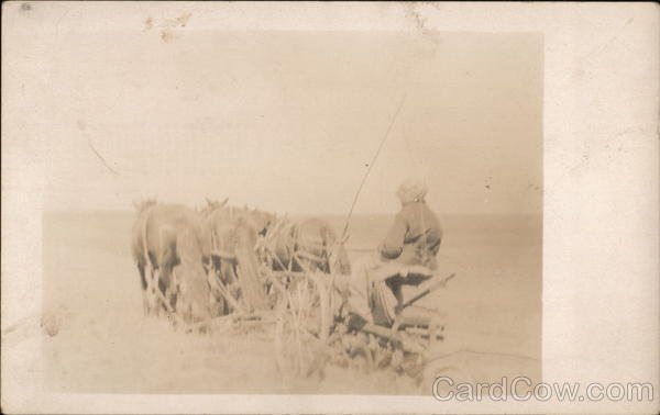 "Mother Plowing In Montana" Farming Postcard