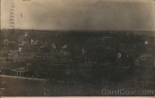 Overview of Town Warren, IL Postcard