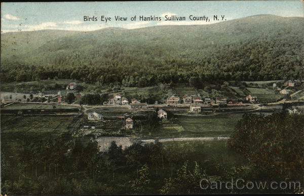 Birds Eye View of Hankins, Sullivan County New York Postcard