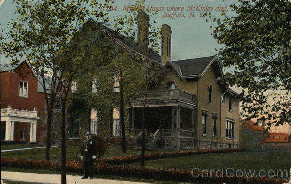 Milburn House Where McKinley Died Buffalo, NY Postcard