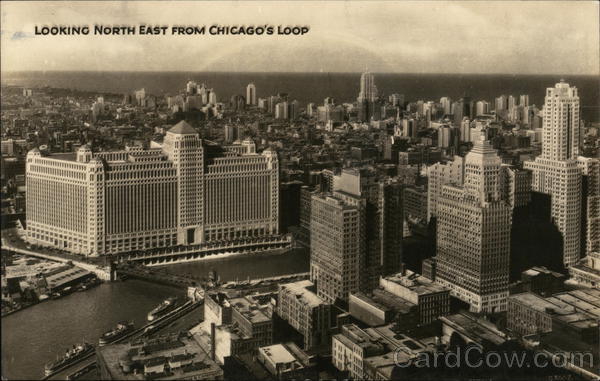 Looking North East From Chicago's Loop Illinois Postcard