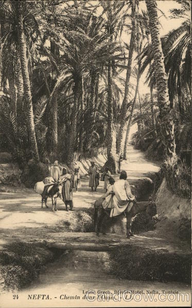Road in the Oasis Nefta, Tunisia Africa