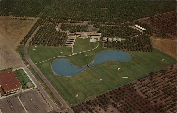 The IBM Homestead San Jose, CA Postcard