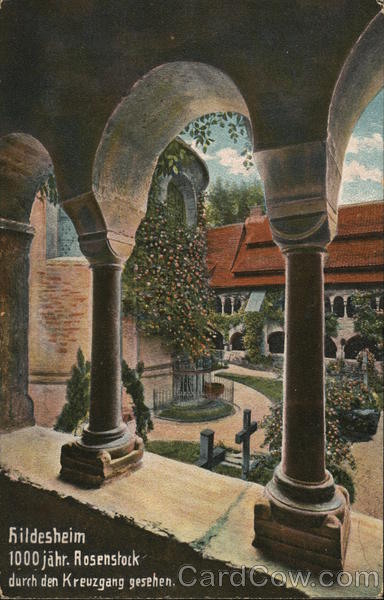 Hildesheim Cathedrial - 1000 Year Rose Germany Postcard