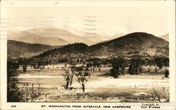 Mt. Washington from Intervale New Hampshire Postcard