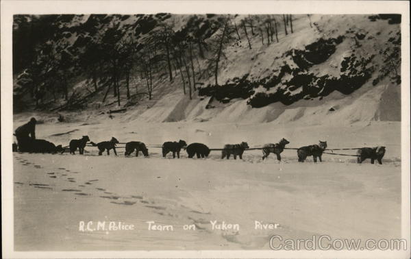 RCM Police Team on Yukon River Whitehorse, YK Canada Misc. Canada Postcard