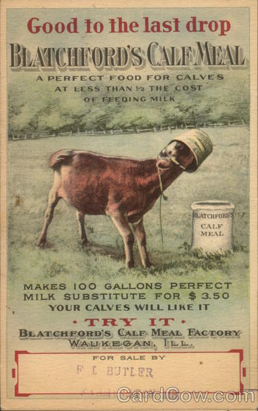 Blatchford's Calf Meal Waukegan, IL Advertising Postcard