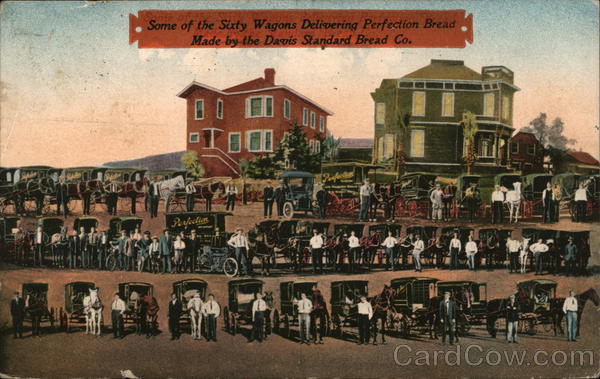 Davis Standard Bread - Perfection Bread Los Angeles, CA Advertising ...