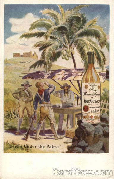Bacardi Rum Advertising Postcard