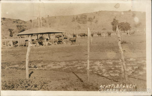 View of a cattle ranch - Culabra PR Puerto Rico Postcard