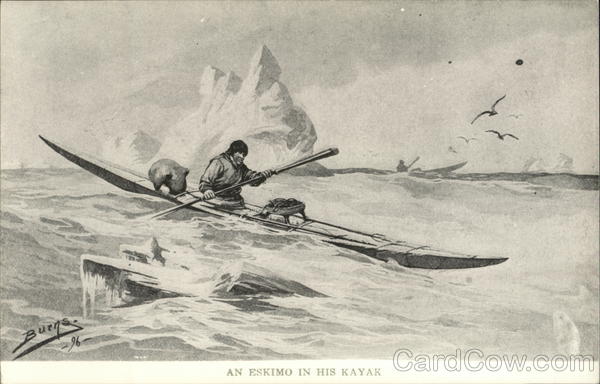 an Eskimo on his kayak Native Americana Postcard