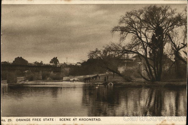 River Scene Kroonstad, South Africa