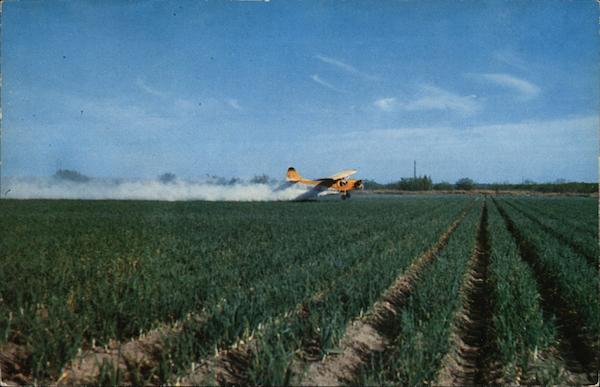 Crop Duster Texas Aircraft Postcard