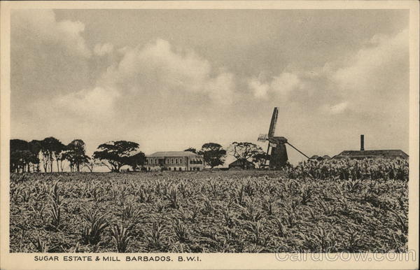 Sugar Estate & Mill Barbados Caribbean Islands