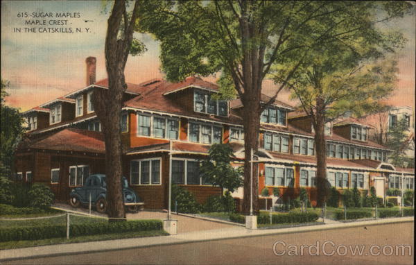 615-Sugar Maples Maple Crest In the Catskills Maplecrest, NY Postcard
