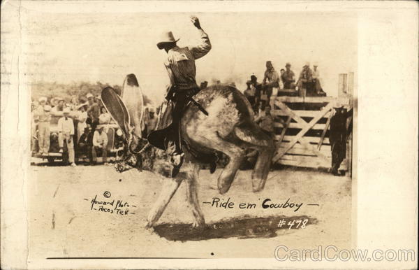 Cowboy on Jack Rabbit Rodeos Postcard