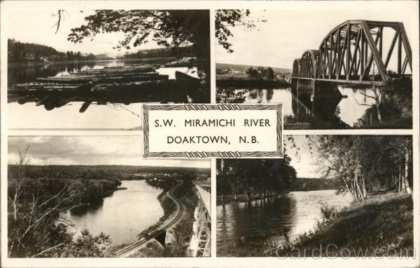 Miramichi River Doaktown, NB Canada New Brunswick Postcard