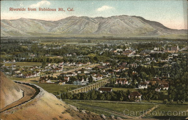 Riverside from Rubidoux Mt. California Postcard