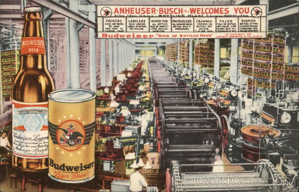 Anheuser-Busch - Interior of Bottling Plant St. Louis, MO Postcard