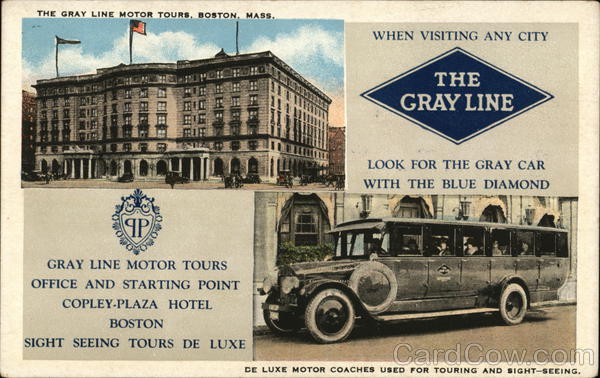 Gray LIne Motor Tours - Sight Seeing Coaches Buses Postcard