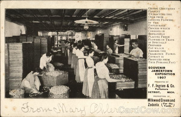 Jamestown Exposition 1907 Detroit, MI 1907 Jamestown Exposition Postcard