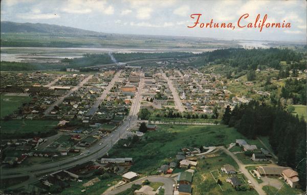 Aerial View of Town Fortuna, CA Postcard