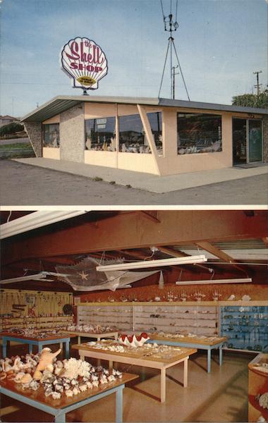 The Shell Shop Morro Bay, CA Postcard