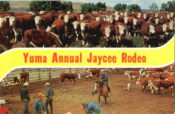 Yuma Annual Jaycee Rodeo Rodeos