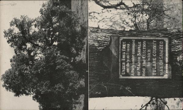 Charter Oak - Under This Tree Tulare County Was Organized Visalia, CA ...