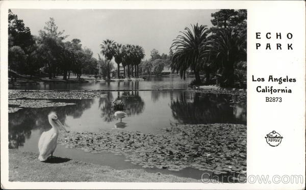 Echo Park Los Angeles, CA Postcard