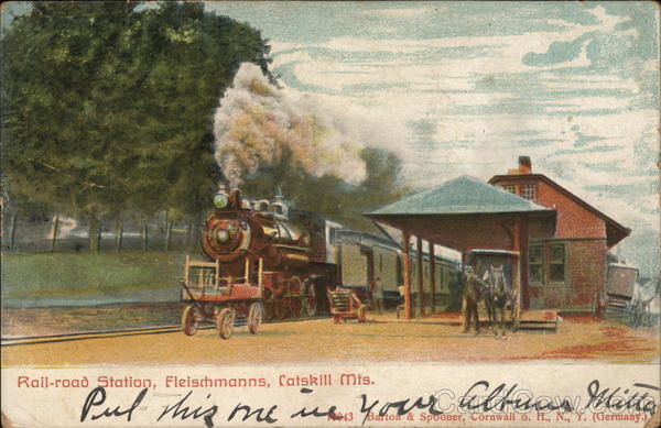 Rail-road Station, Catskill Mountains Fleischmanns, NY Postcard