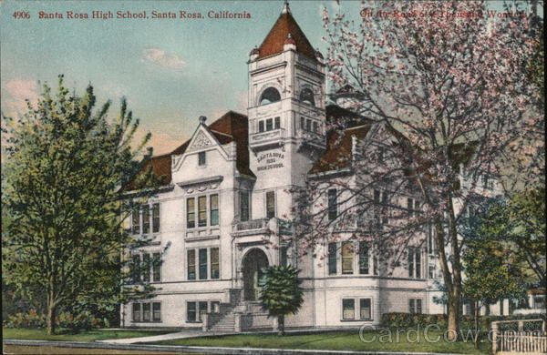 Santa Rosa High School California Postcard