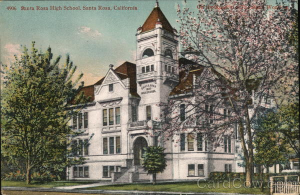 Santa Rosa High School California Postcard