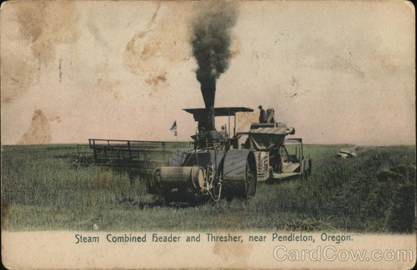 Steam Combined Header and Thresher near Pendleton, Oregon Farming Postcard
