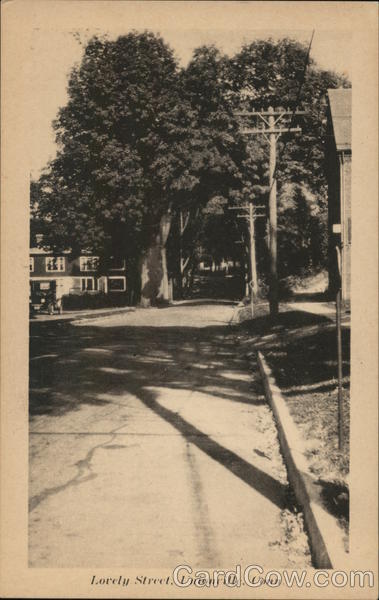 Lovely Street Unionville, CT Postcard
