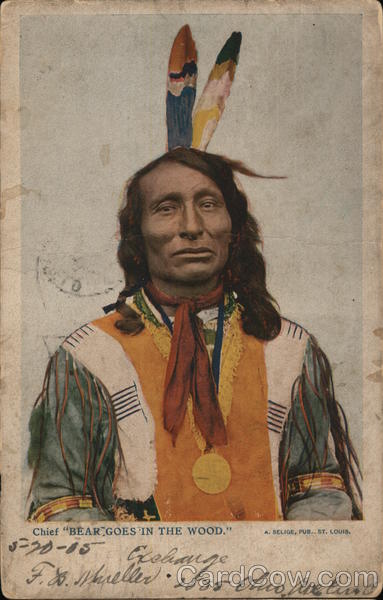Indian Chief "Bear Goes in the Wood" Native Americana Postcard