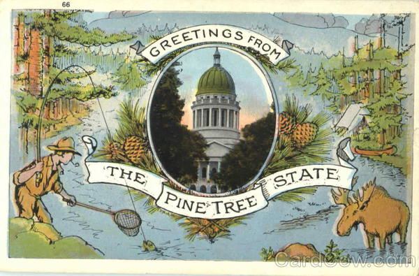 Greetings From The Pine Tree State Maine