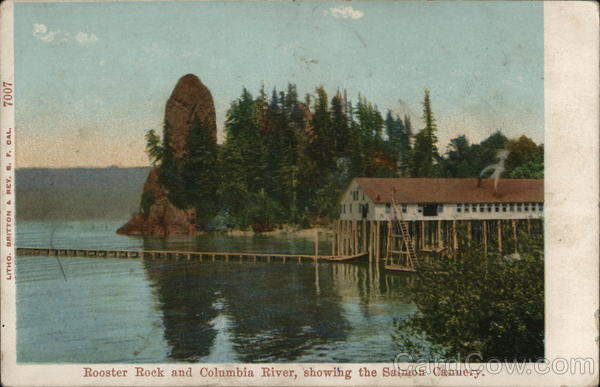 Rooster Rock and Columbia River Corbett, OR Postcard