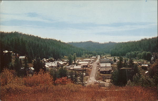 View over Town PIerce, ID Postcard