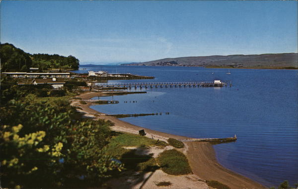 Tomales Bay California Marin County Postcard