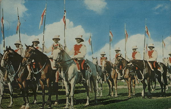 Mounted Police Barbados Caribbean Islands Postcard
